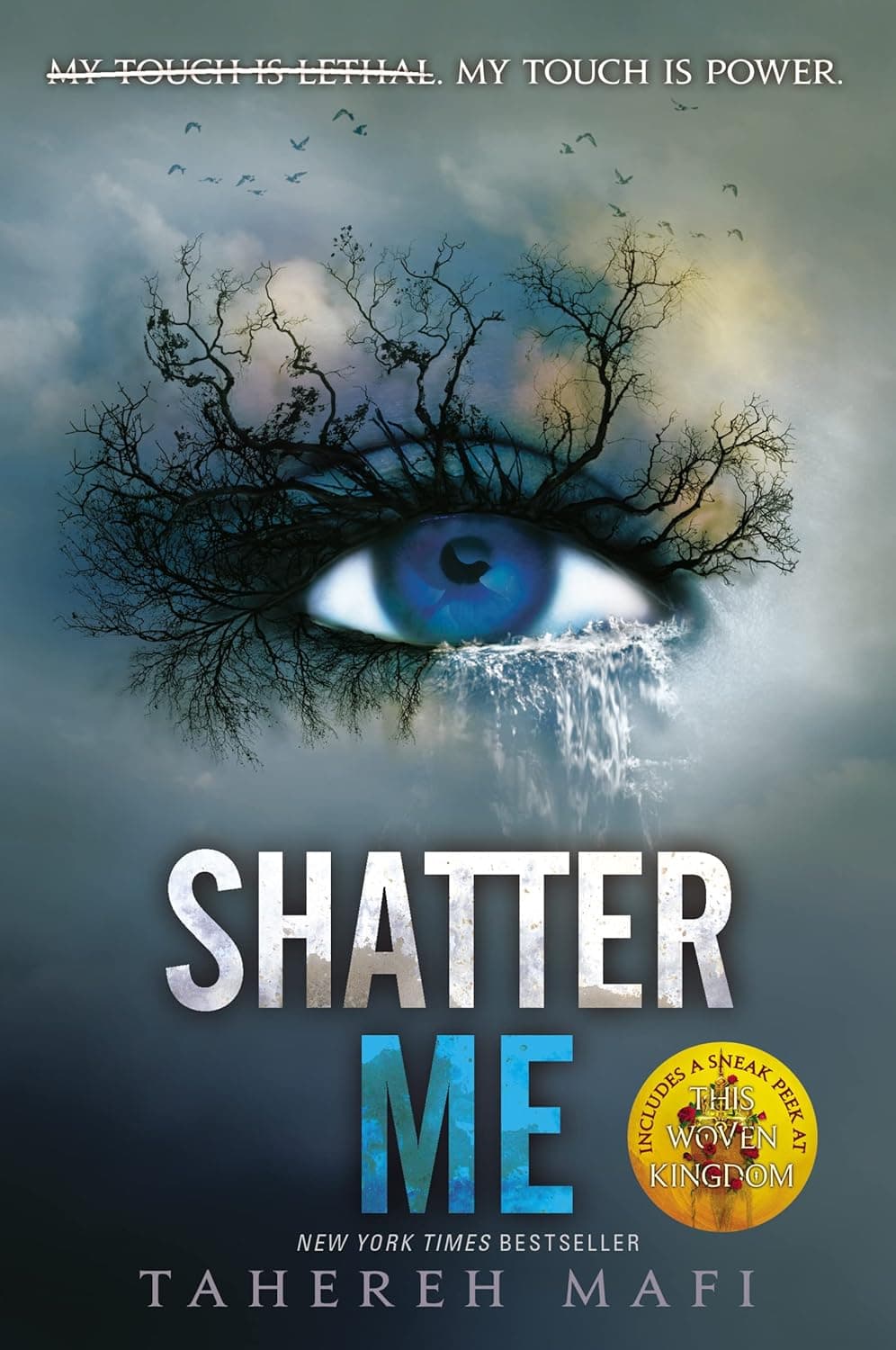 Shatter Me: Adam Kent | Turbo AI